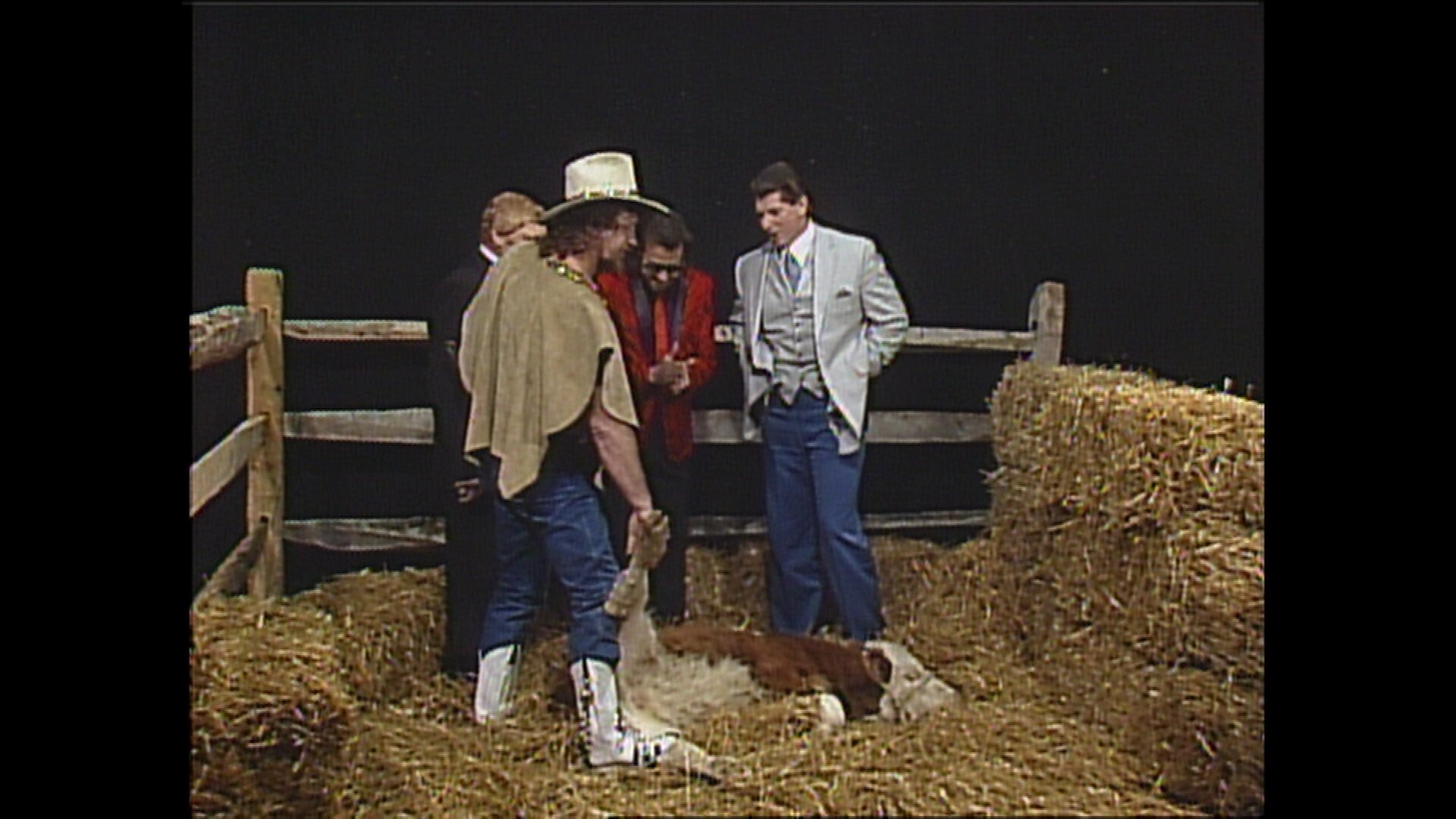 Watch Tuesday Night Titans Matches, Highlights Online - Sony LIV