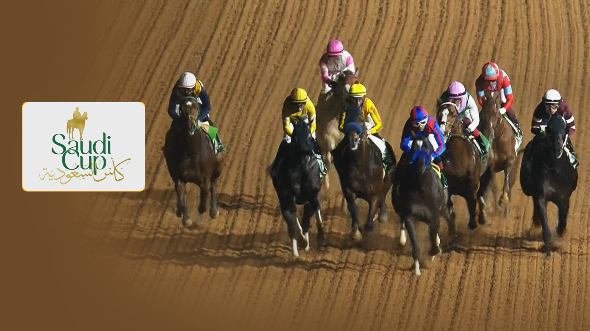 Horse Racing 2023 - Live Streaming - Sony LIV